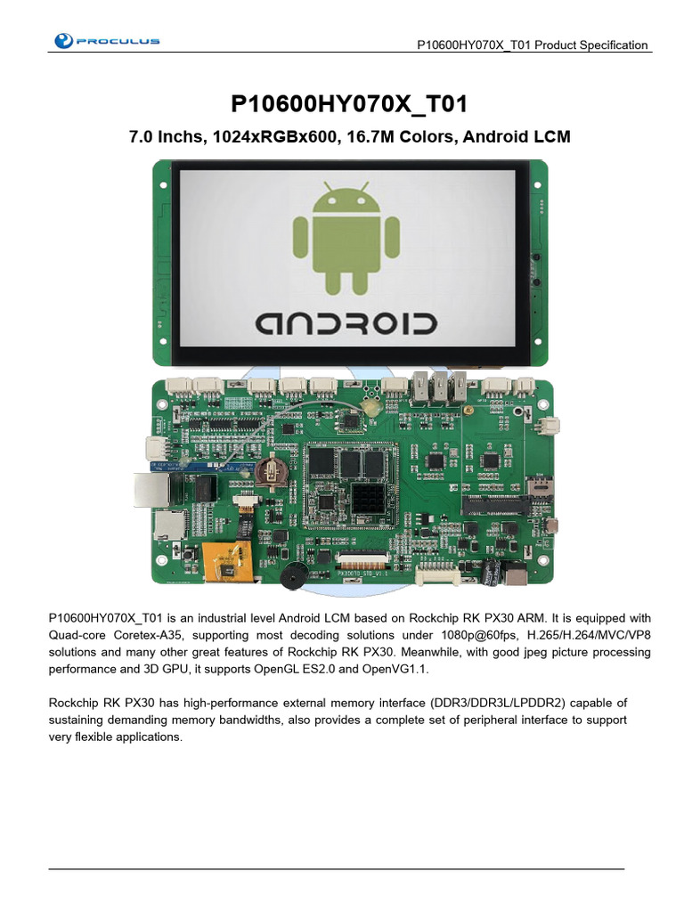 p10600hy070x-t01-datasheet | PDF
