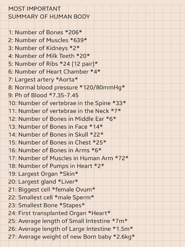 Human Body | PDF