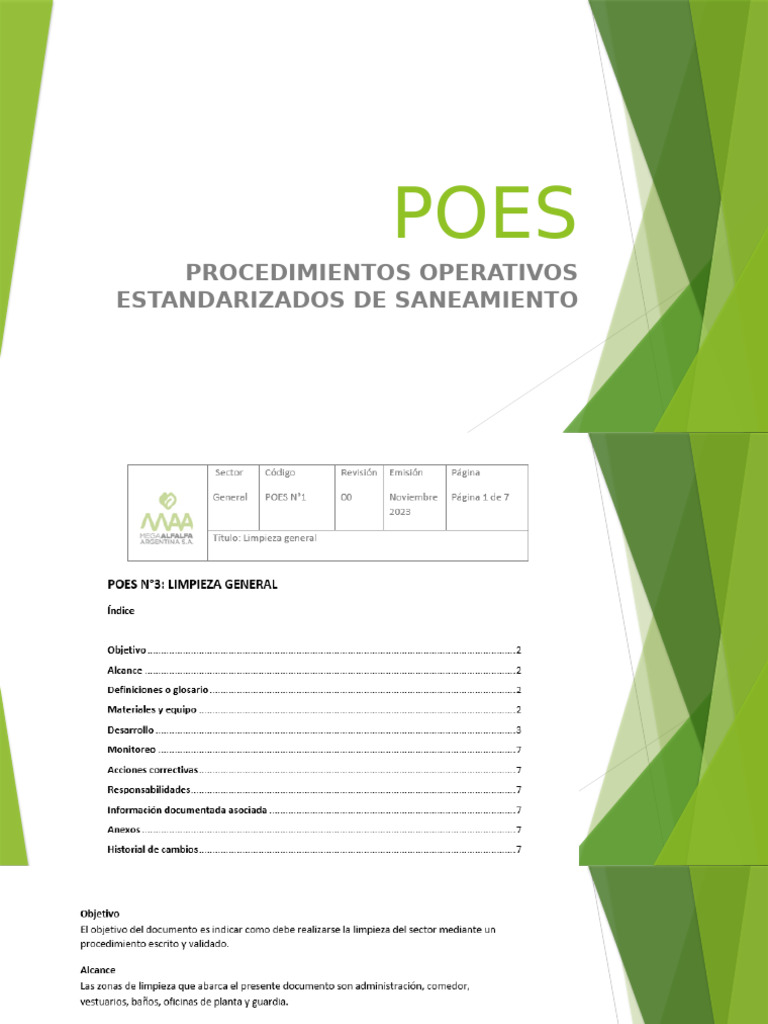 Poes Capacitacion | PDF