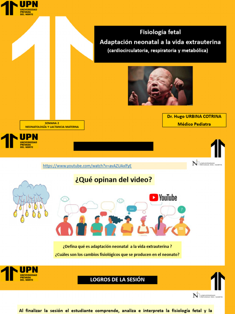 Sesión Sem-2-Neolm-Teoría-2024-2 | PDF