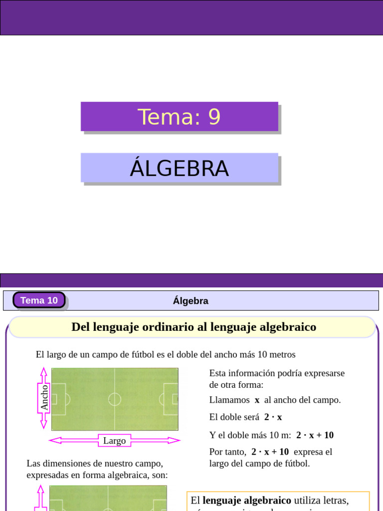 Lenguaje Algebraico | PDF