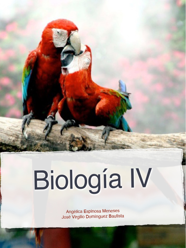 Bio-4-2024 | PDF