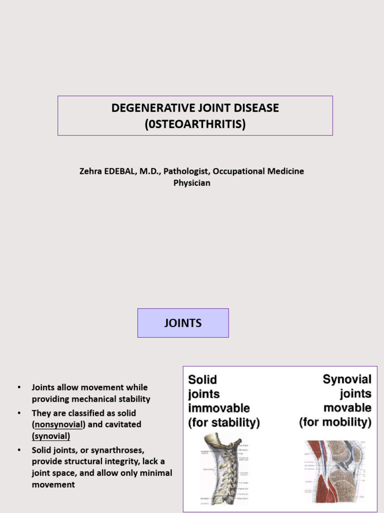 3 - Degenerative Joint Disease (0steoarthritis) Ze | PDF