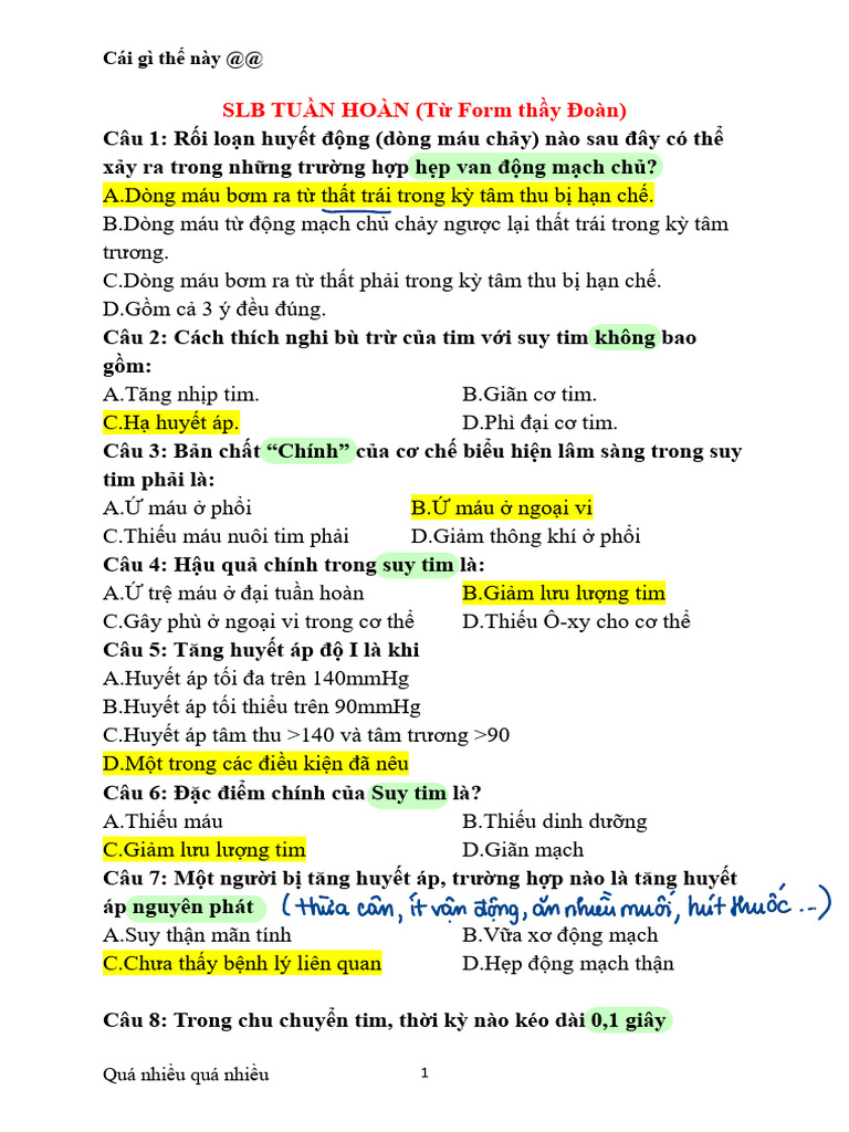 SLB 2023 | PDF