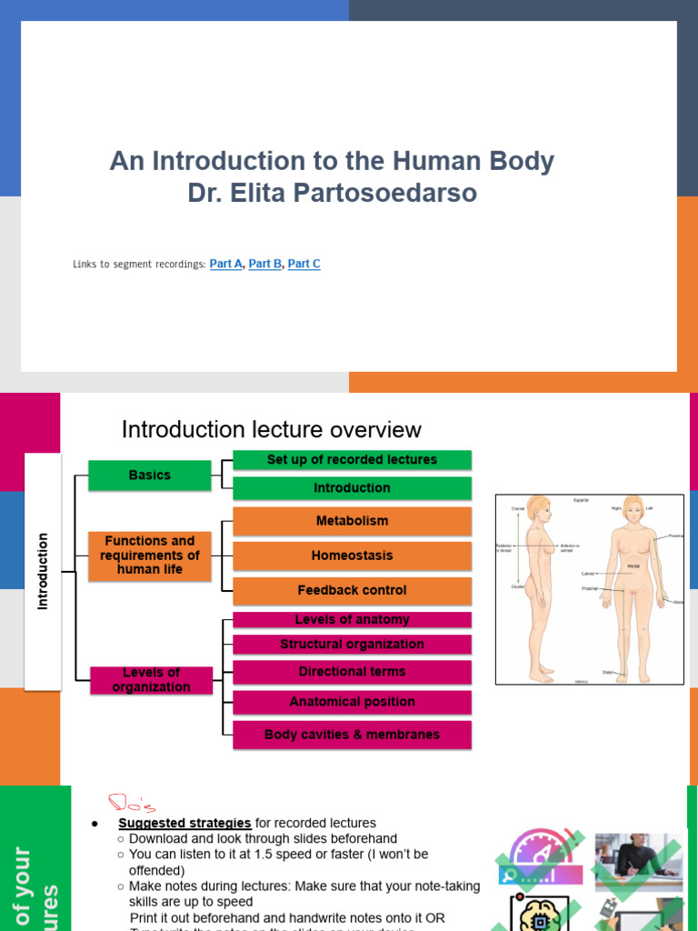 Lecture 1 Introduction To The Human Body | PDF