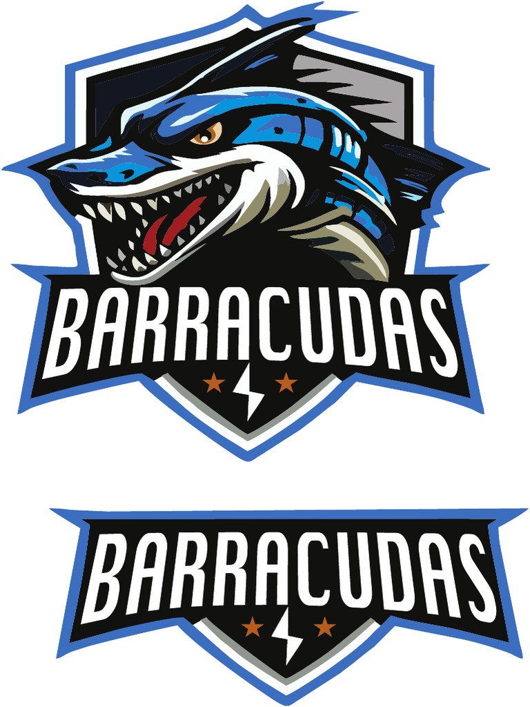 Baracudas Logo | PDF