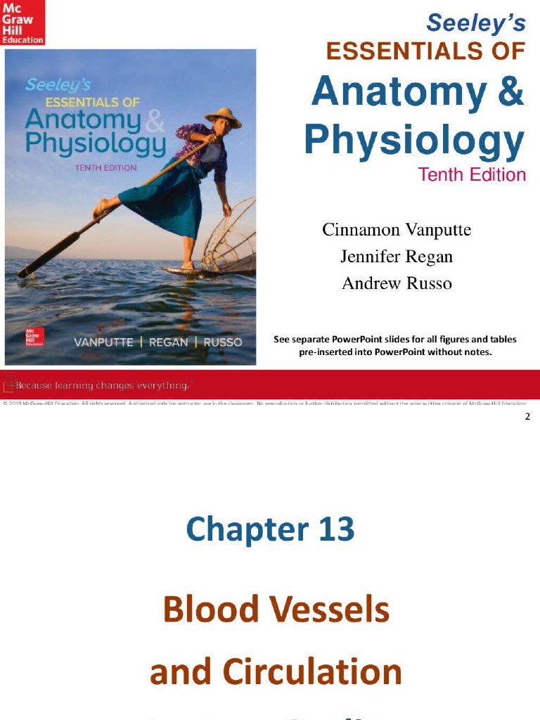 CHAPTER 13 BLOOD VESSELS AND CIRCULATION | PDF