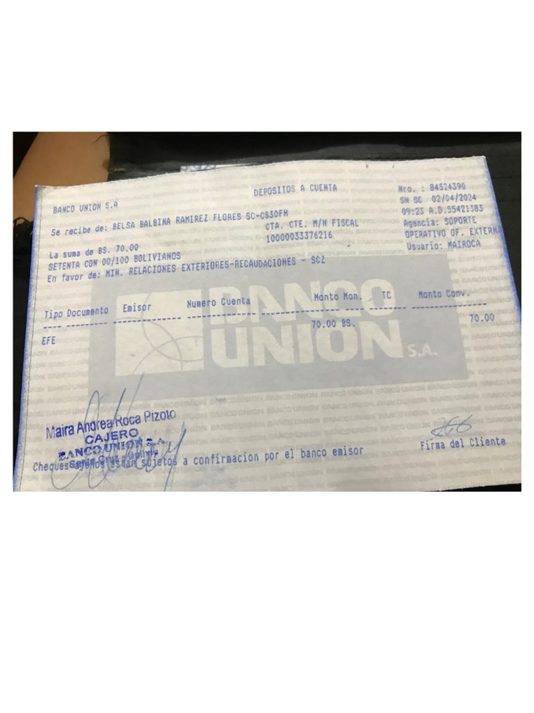 Documento (4) Dianita | PDF