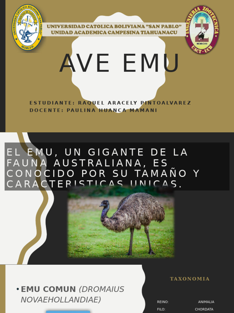 Ave Emu | PDF