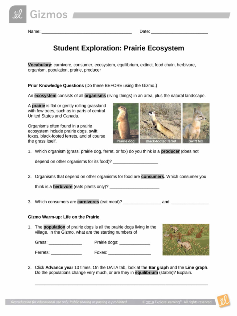 Prairie Ecosystem | PDF