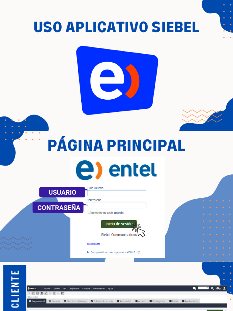 Aplicativo Siebel | PDF