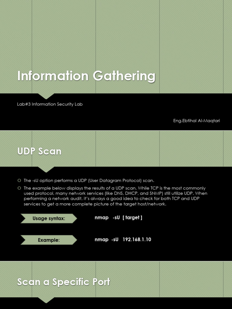 Lab 3 Information Security Pdf