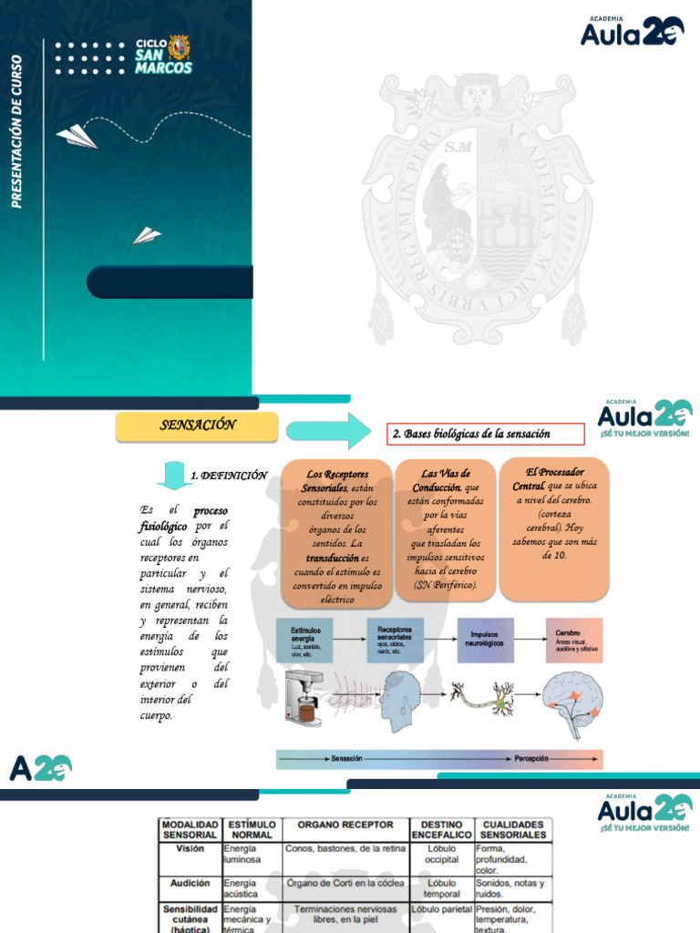 Se4.sensación y Atención | PDF