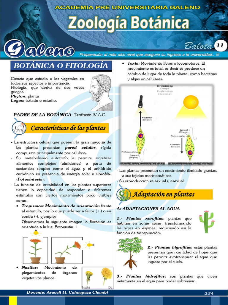 Bot Nica 2024 2do Trimestre 5to | PDF