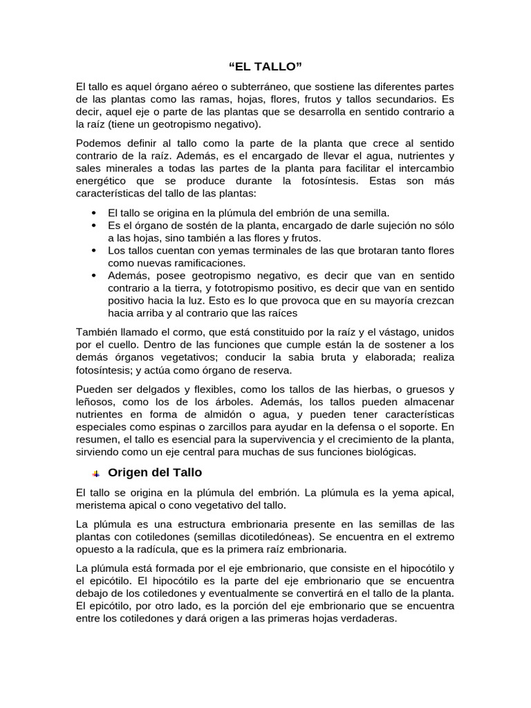 Tallo Info | PDF
