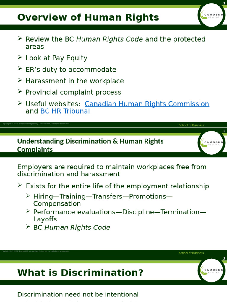 Human Rights Slides For Posting | PDF