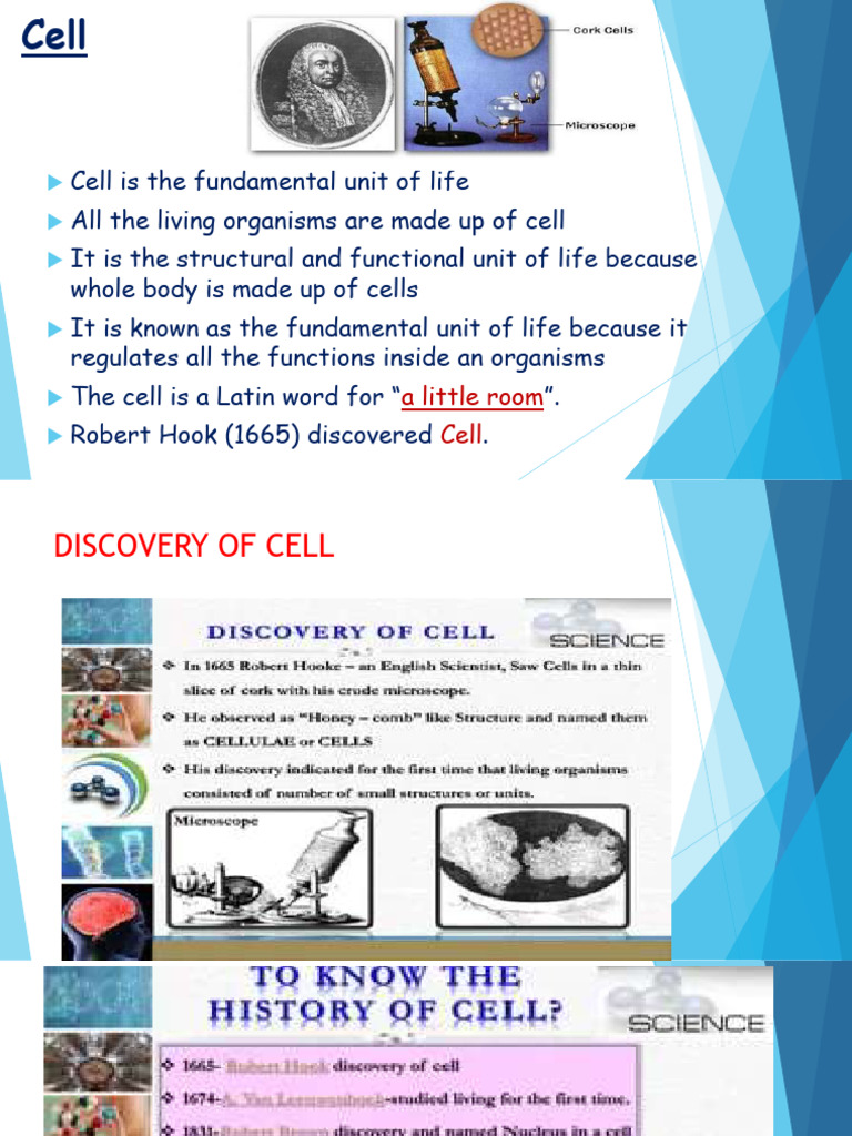 of Biology Cell | PDF