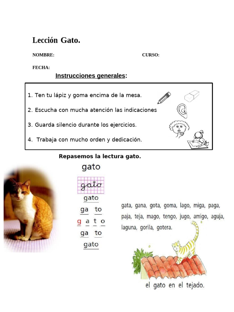 Leccion Gato | PDF