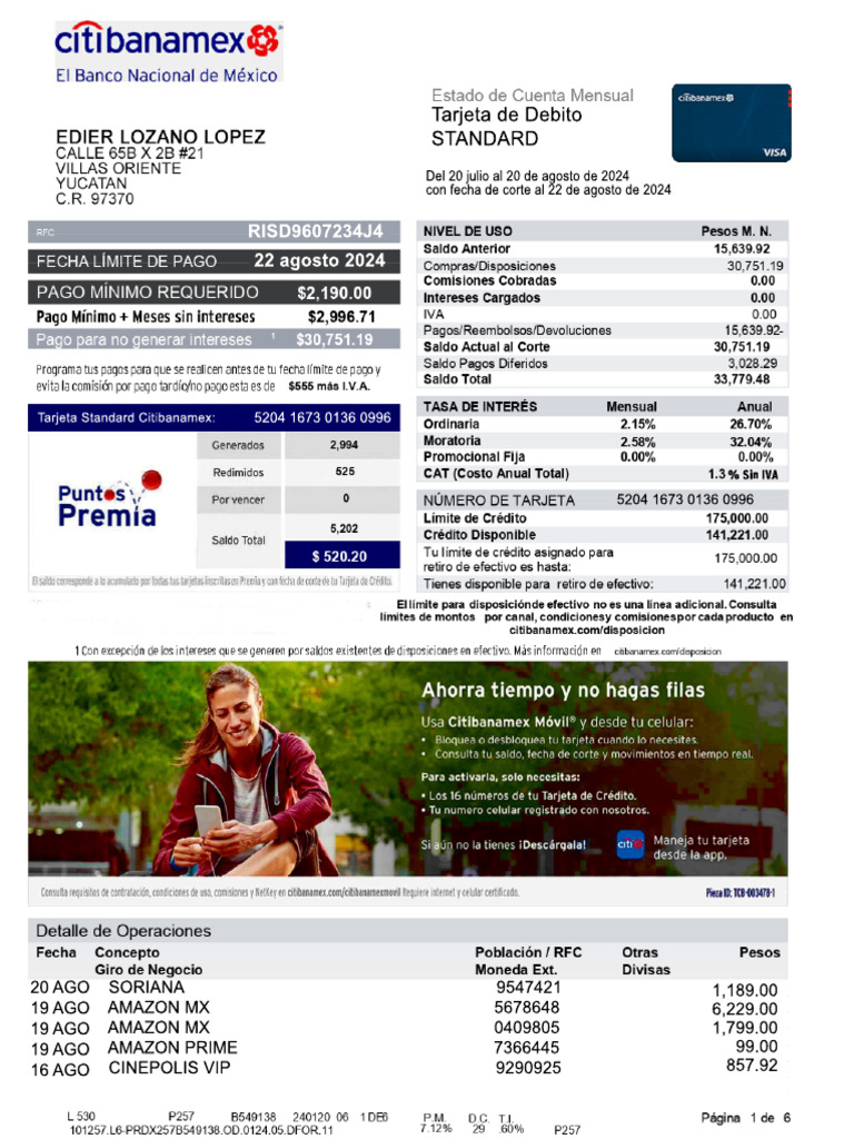 Estado de Cuenta Banamex 2001 | PDF