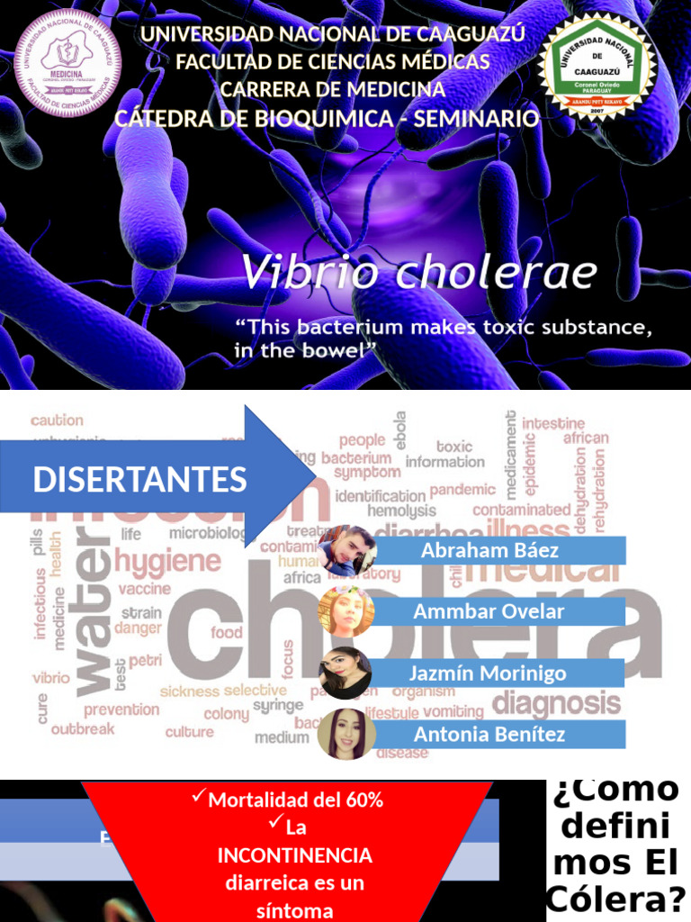 Enfermedad del Cólera: Síntomas y Tratamiento | PDF | Diarrea | Cólera