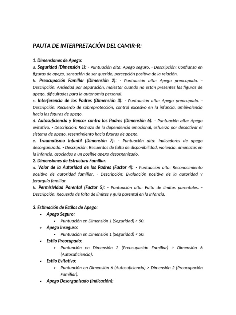 PAUTA DE INTERPRETACIÓN DEL CAMIR-R | PDF
