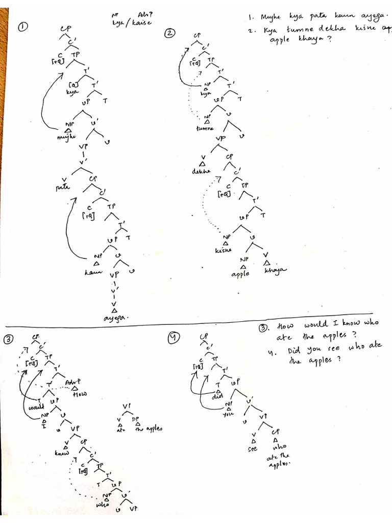 Tut 8 - Embedded Clauses Trees | PDF