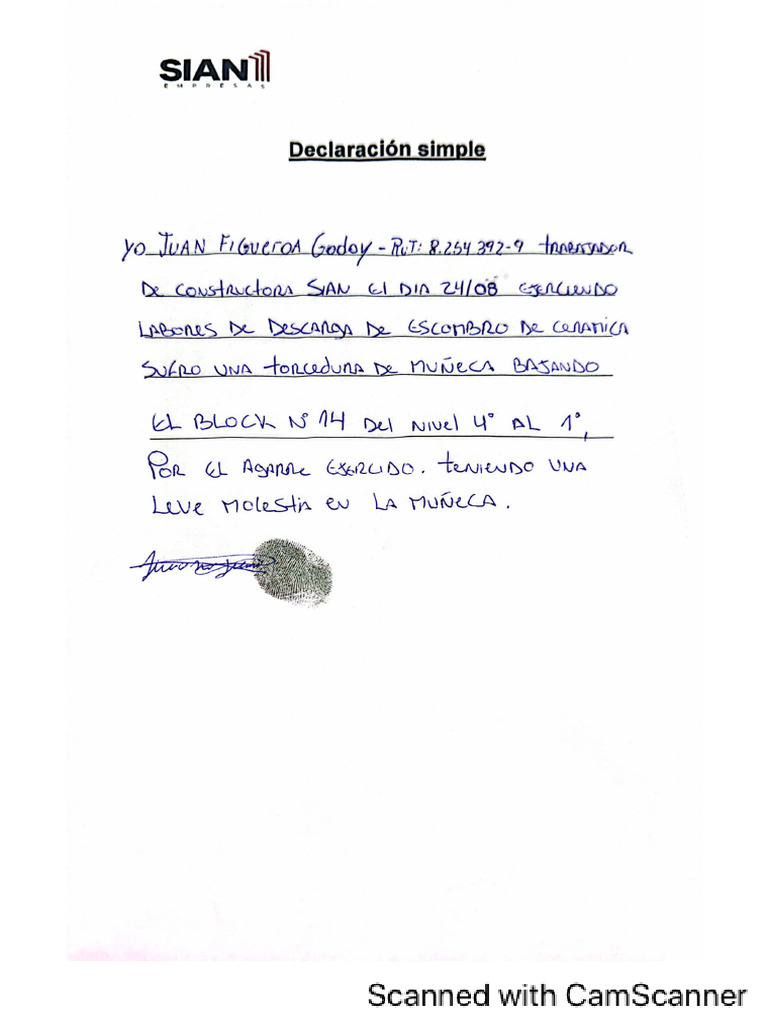 Declaracion Simple | PDF