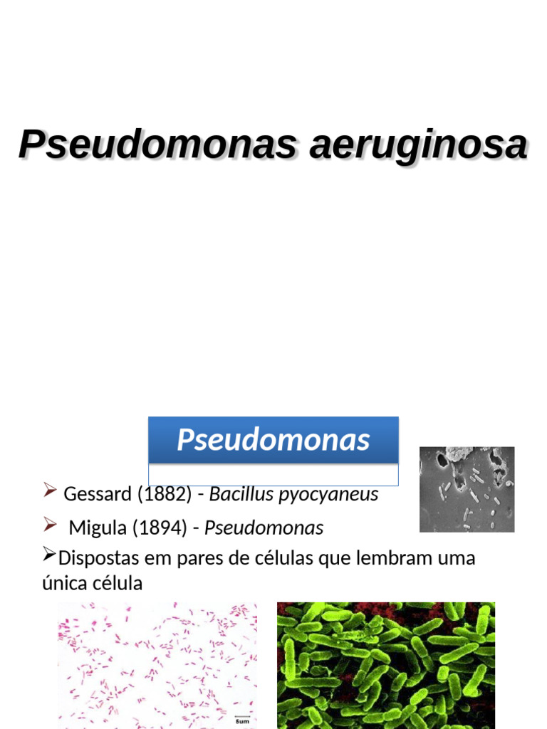 Aula Pseudomonas | PDF