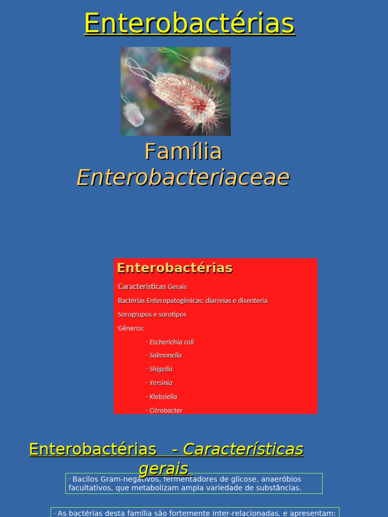 BGN Enterobactérias | PDF