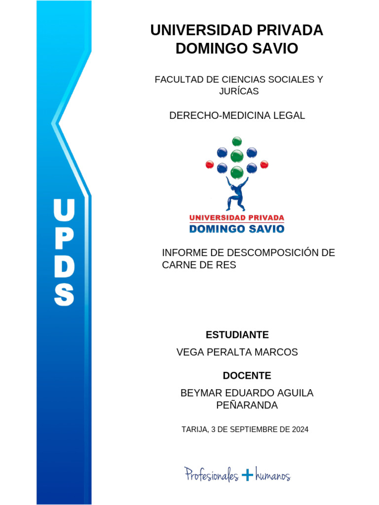 1 CARÁTULA UPDS. | PDF