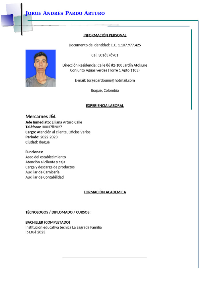 CV Jorge Andres Pardo Arturo Word | PDF