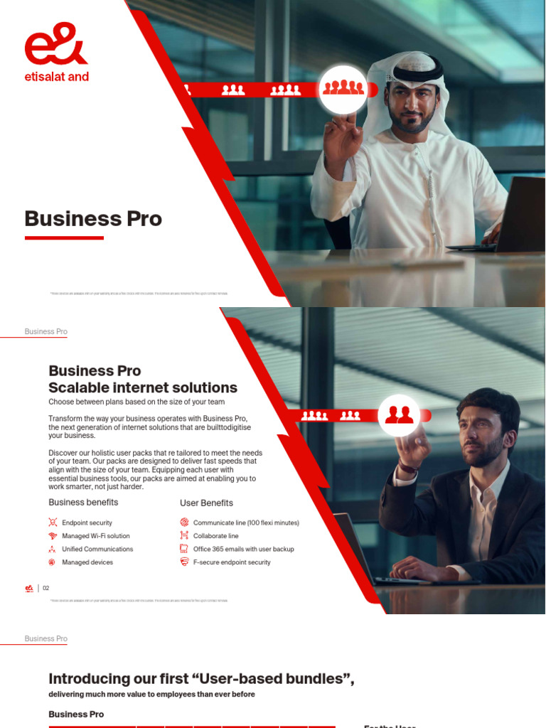 Business Pro Brochure (1) 1 | PDF
