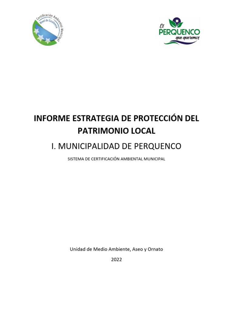 Informe Estrategia PMC SCAM | PDF