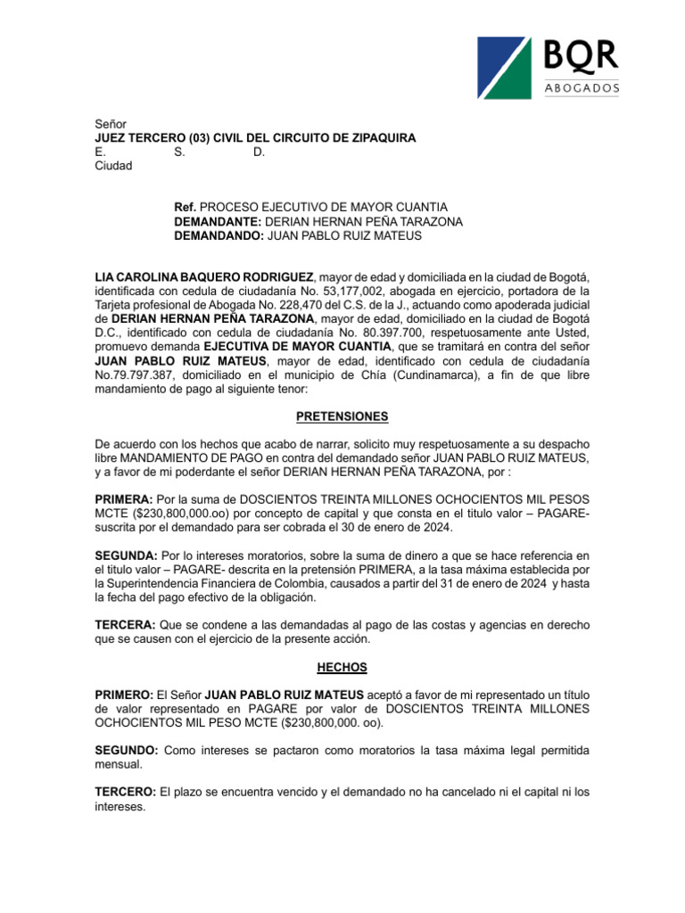 Demanda Ejecutiva | PDF