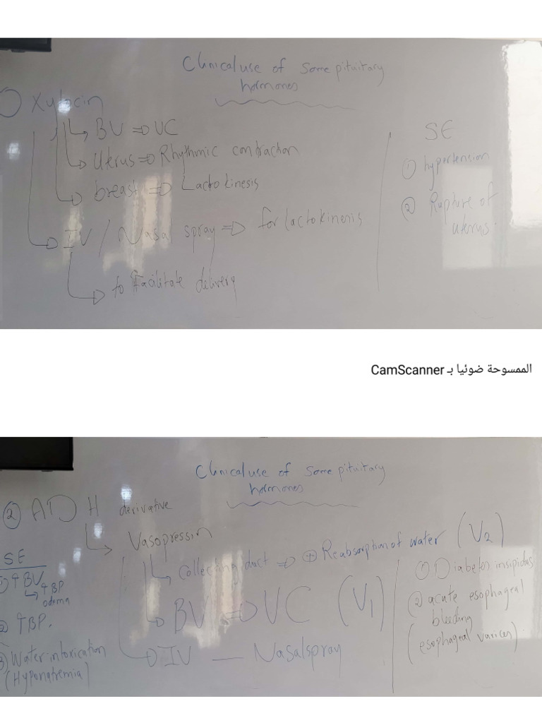 Pharma Lecture 5 | PDF