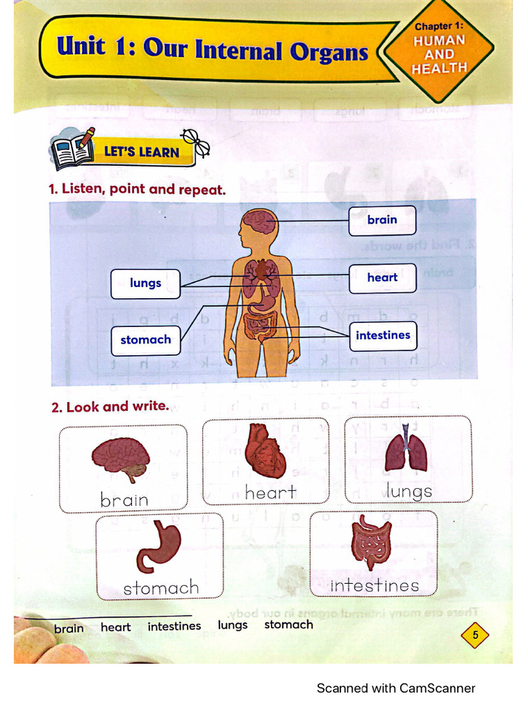 Amazing Science - 1 | PDF