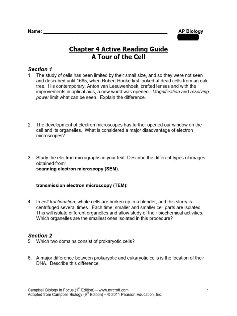 Chapter 4 Active Reading Guide | PDF