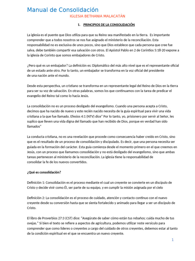 MANUAL DE CONSOLIDACION 2024 | PDF