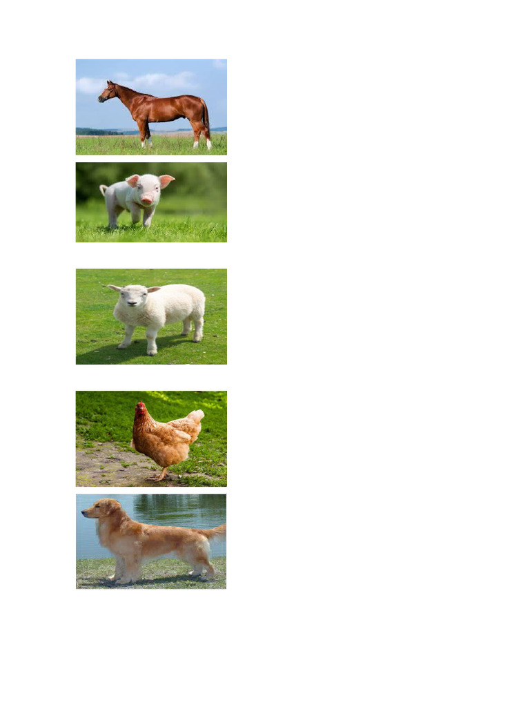 Prov Jorge Basadre | PDF