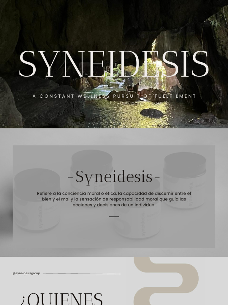 SYNEIDESIS PRESENTACION | PDF