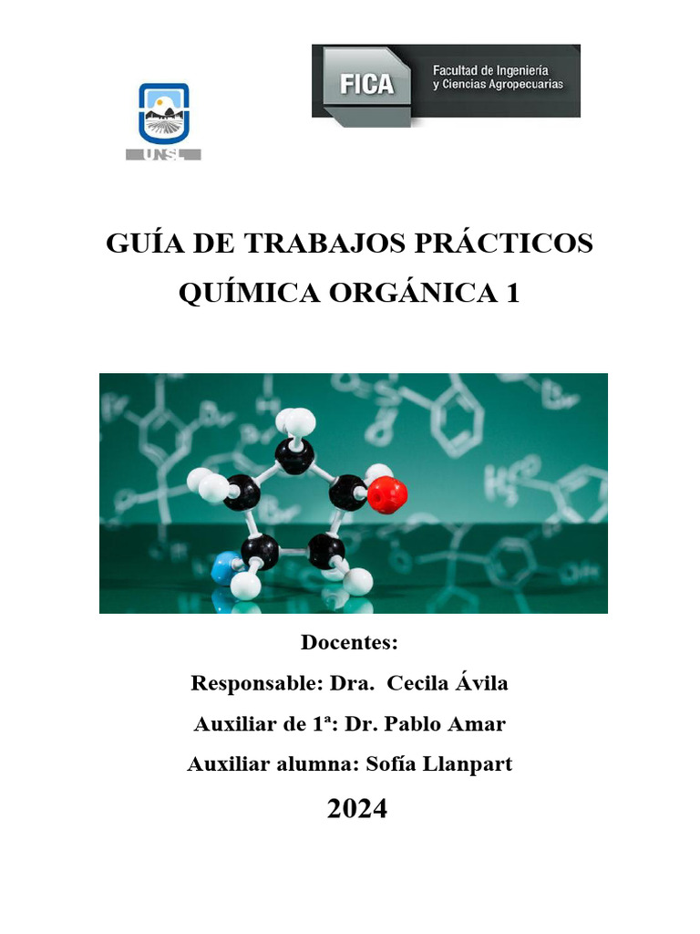 Guía Práctica 2024 | PDF