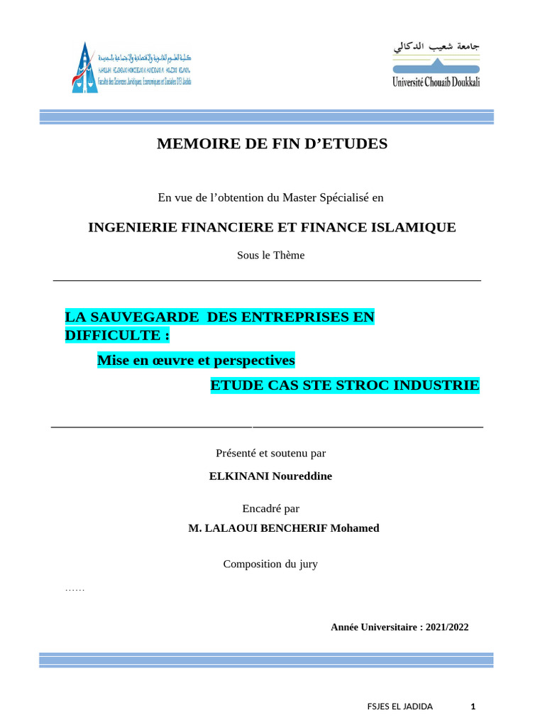 PFE Iffi FINAAAL - Copie | PDF