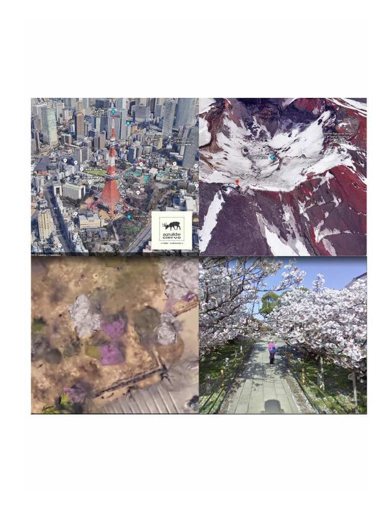 A4 FUJI FRENTE - JPG | PDF