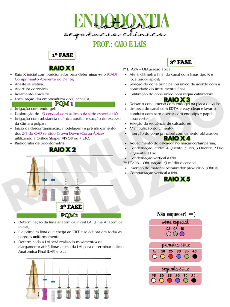 Roteiro Laboratório de Endo PDF | PDF