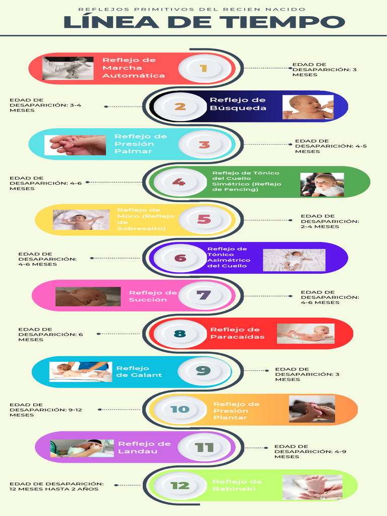 Infografía Línea de Tiempo Reflejos Primitivos, Locomotor Ok Ok | PDF