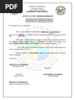 RSBSA Barangay Certificate | PDF