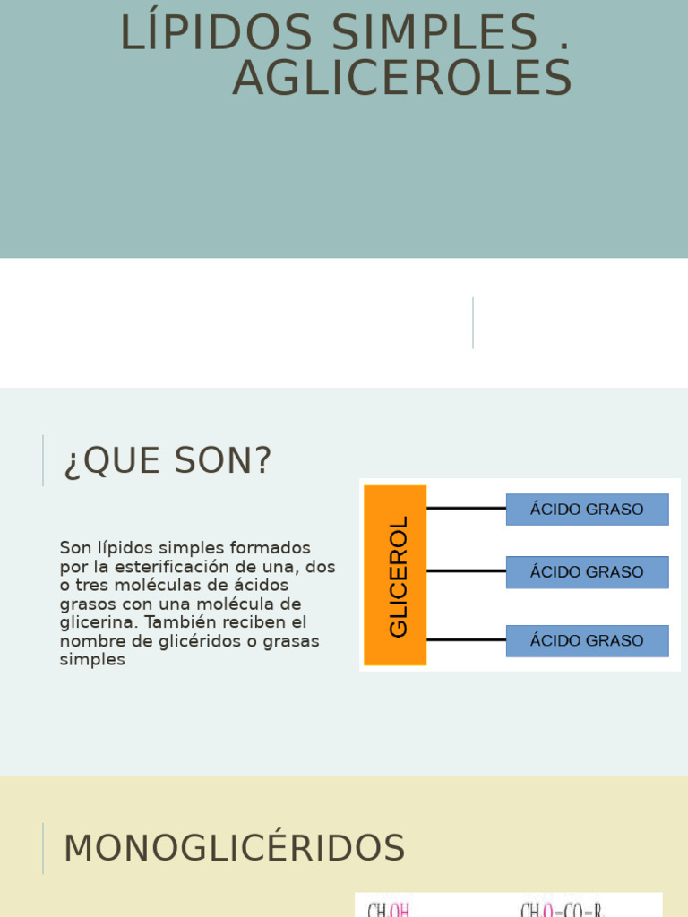 Lipidos Simples | PDF