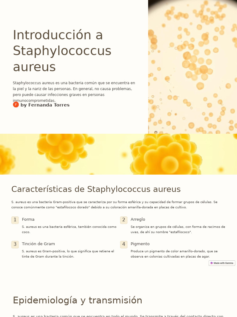 Introduccion A Staphylococcus Aureus | PDF