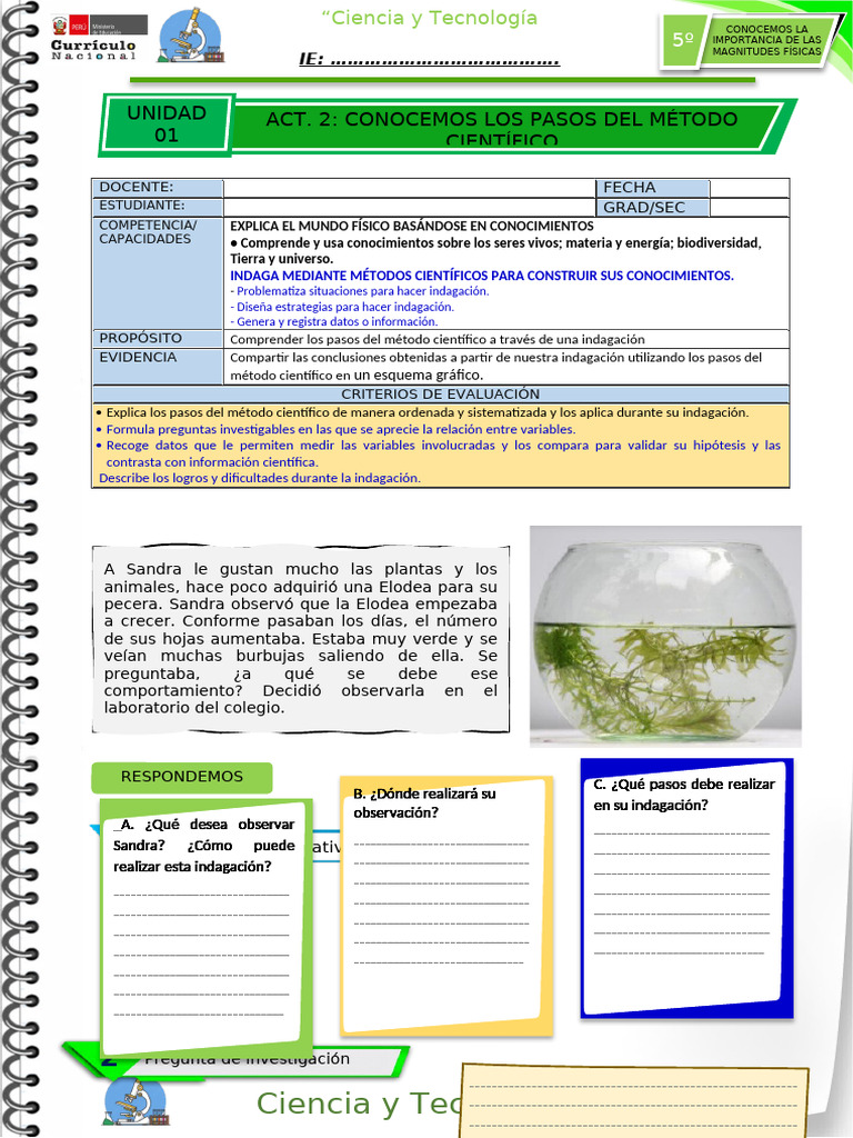 A 5º ACT 2-CYT-U1 | PDF