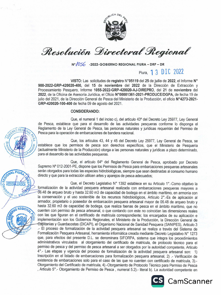 RDR N° 1056-2022 | PDF